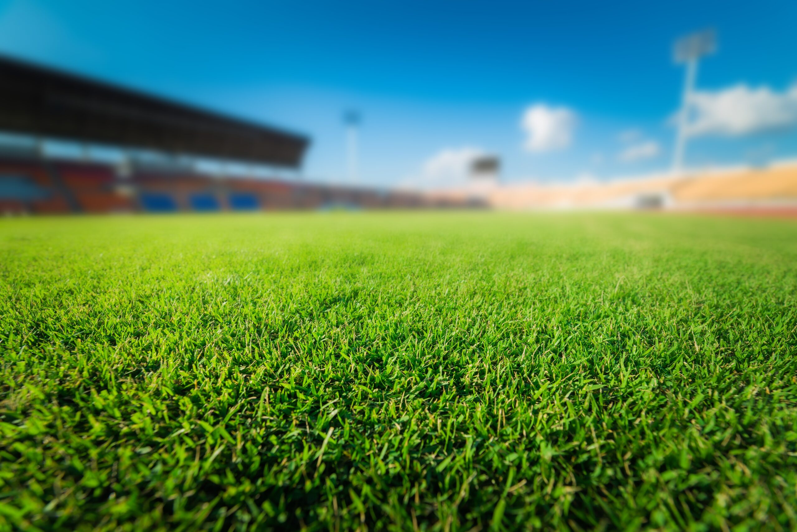 It’s Opening Day for Ohio Adult-Use Marijuana – Play Bud! | McGlinchey ...